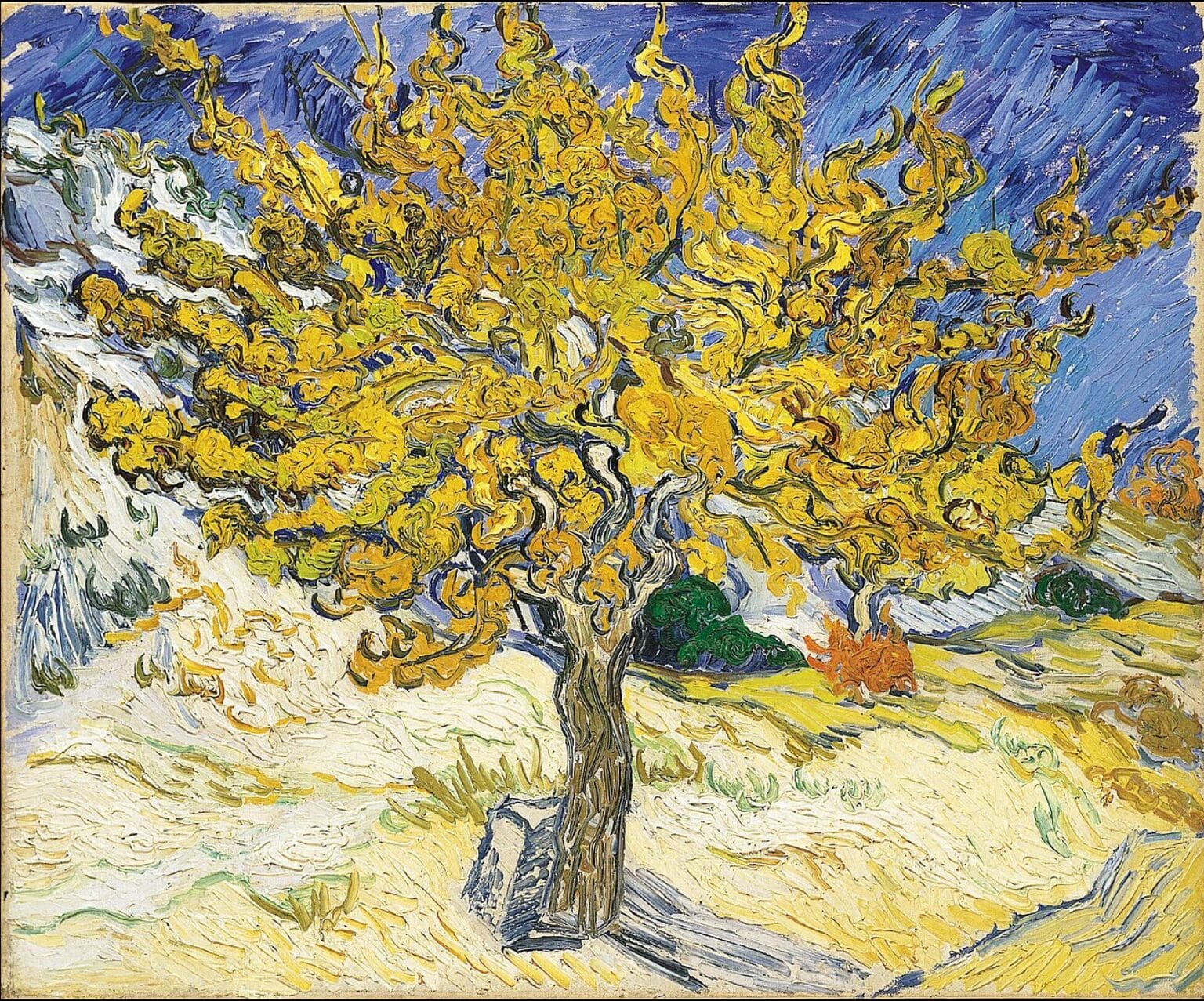 What is the meaning of The Mulberry Tree by Van Gogh