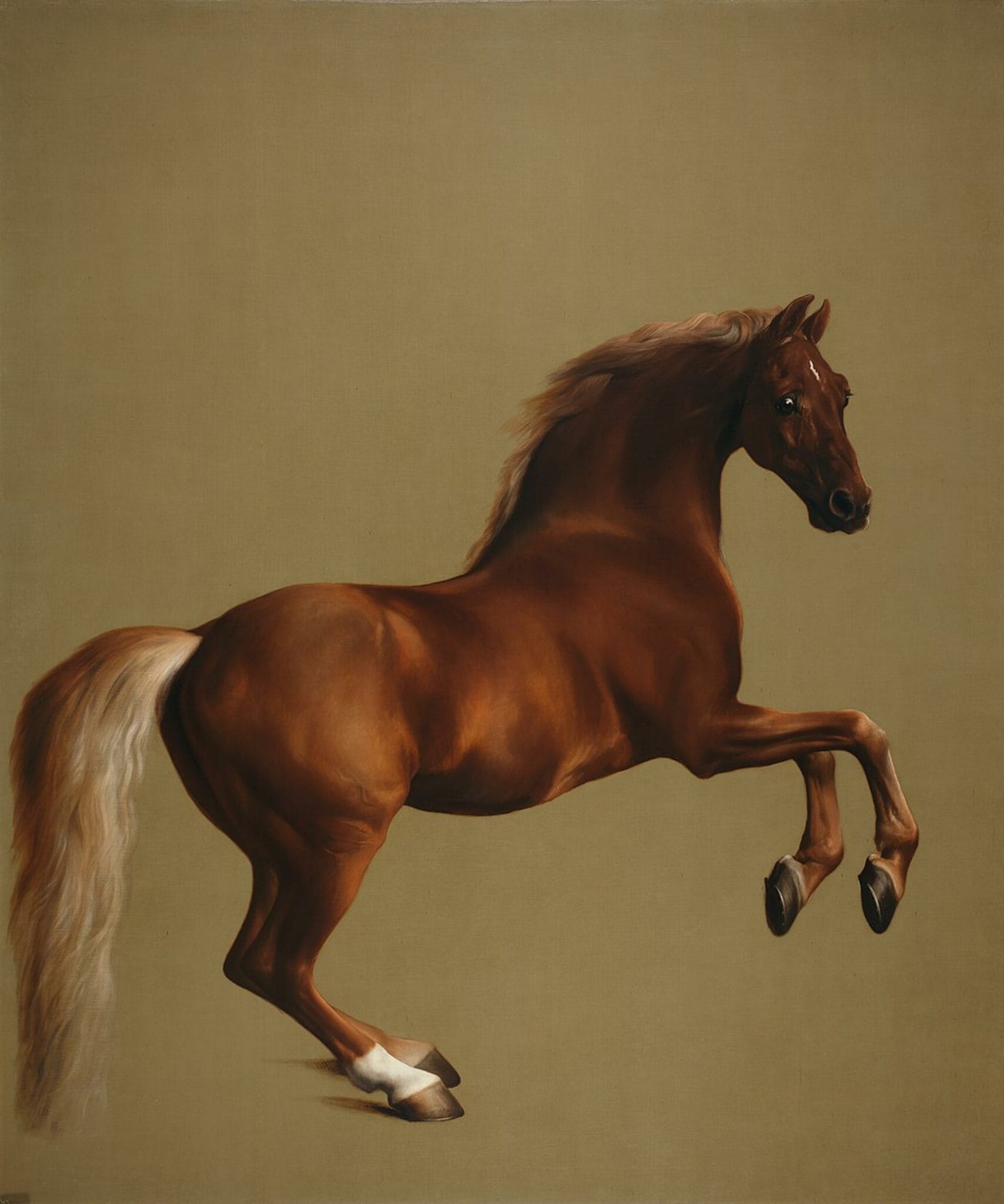 Whistlejacket by George Stubbs: The Monumental Portrait of a Horse